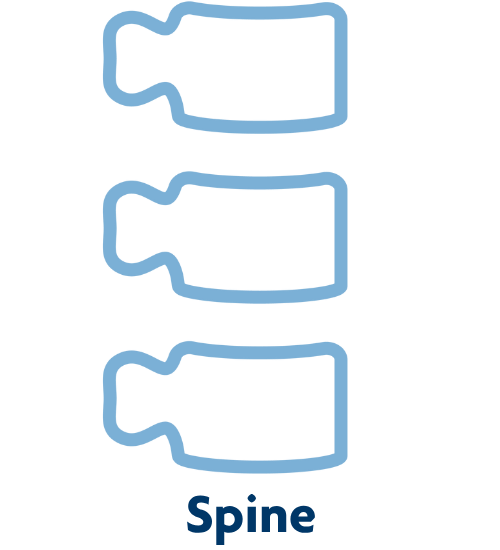 PliaFX® Advanced Fiber DBMs | LifeNet Health