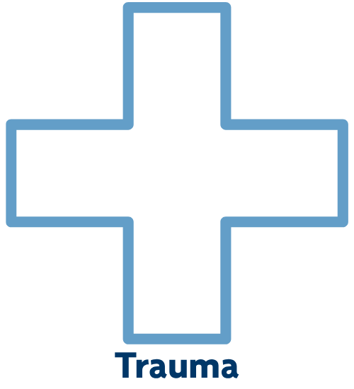 PliaFX® Advanced Fiber DBMs | LifeNet Health