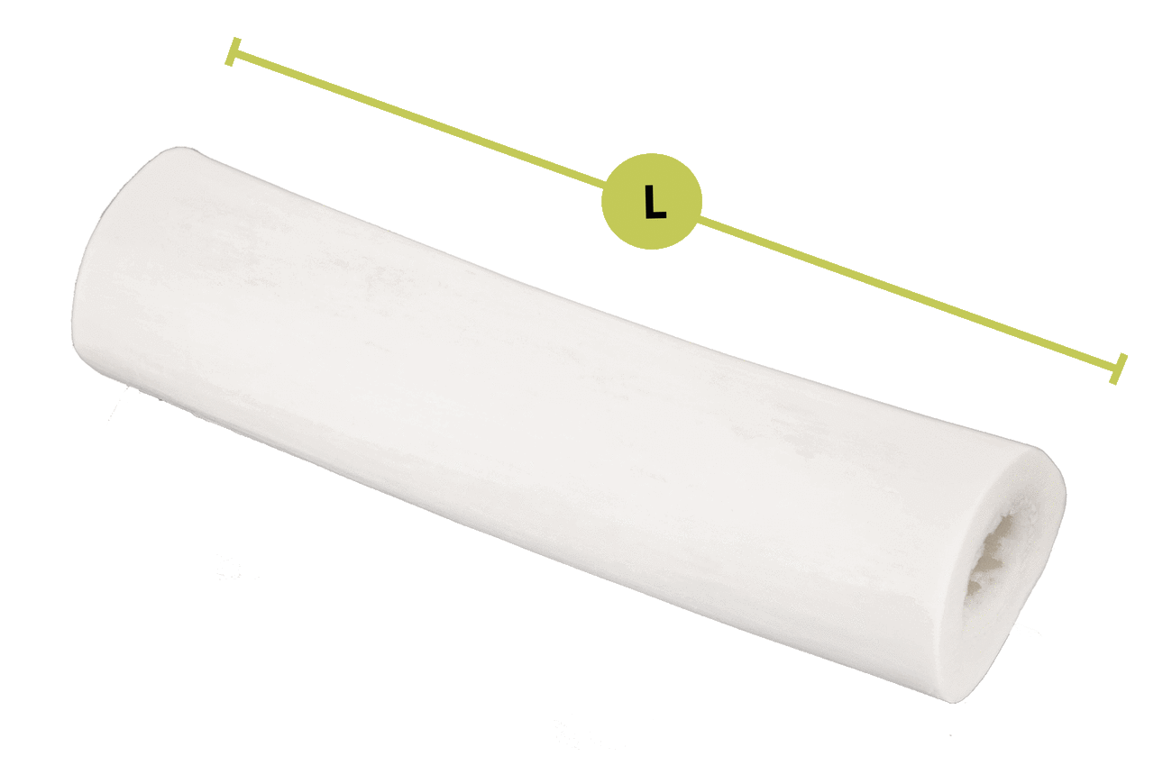 MatriGraft® Shafts-Femur | LifeNet Health